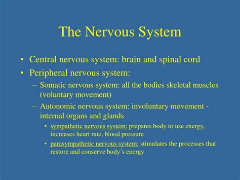PPT Sexual Anatomy Physiology PowerPoint Presentation Free Download ID 6731916