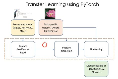 Eric Feuilleaubois Ph D On Linkedin A Practical Guide To Transfer Learning Using Pytorch