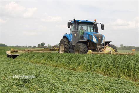 First Cutting Can Make Or Break A Season Hay And Forage Magazine