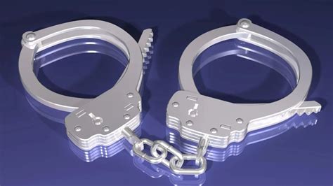 Hillsborough County Sheriffs Office Teen Sexual Assault Arrests
