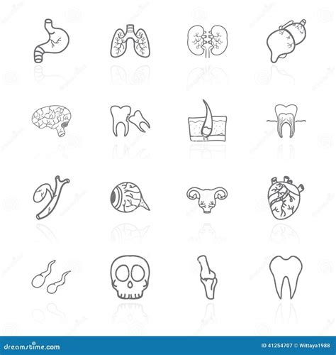 Vector Set Of Contour Icons Stock Vector Illustration Of Physiology