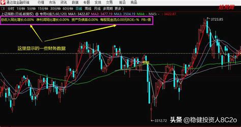 通达信指标公式编写教程35如何将重要财务数据在主图左上角显示的方法图解 拾荒网 专注股票涨停板打板技术技巧进阶的炒股知识学习网