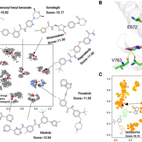 Docking Based Virtual Screening Of Ddr1 Inhibitors Against Drugspacex Download Scientific