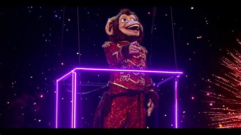 Le Singe Biographie Et Vidéos Tf1