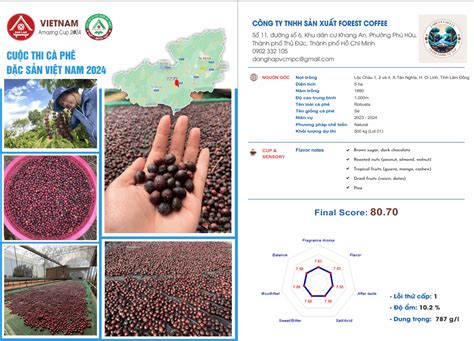 High Quality Natural Coffee Forest Coffee