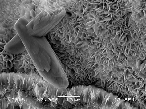 Soil System Sciences Lightening The Clay I