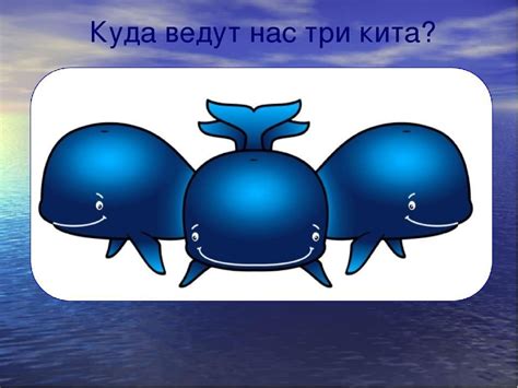 Состав Группы 3 Кита 45 фото