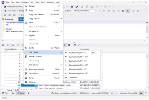 Filter Data In The Grid