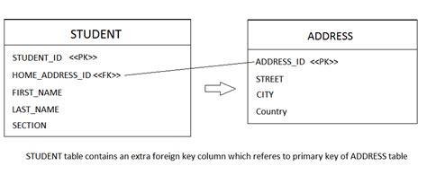 Hibernate One To One Unidirectional With Foreign Key Associations Annotation Websystique