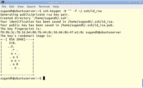 What Is Ssh Key Generation Girlsnew