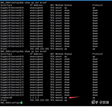python网络运维实验实验环境GNS 知乎