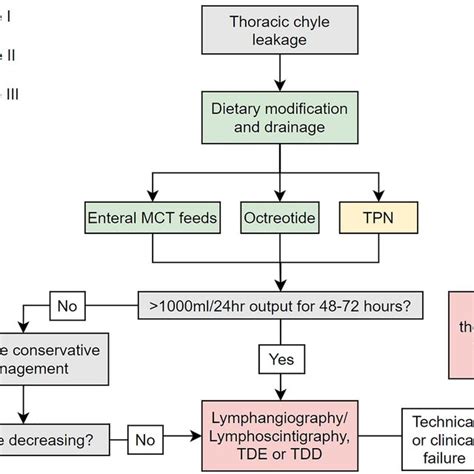 Interventional Management Of Chyle Leaks Download Scientific Diagram