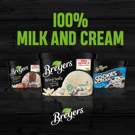 Breyers Mint Chocolate Chip Ice Cream Tub 48 Oz Ralphs