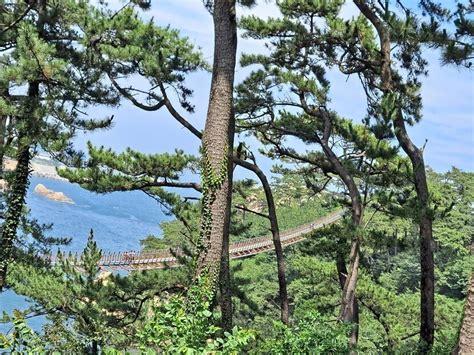 울산 출렁다리 자연풍경 캐시피드