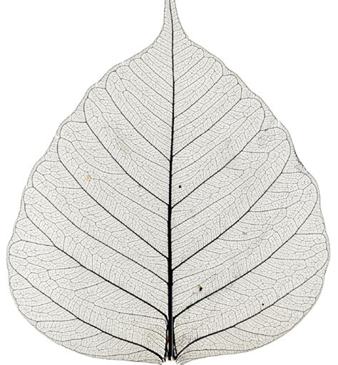 Géométrie News Research And Analysis The Conversation Page 1