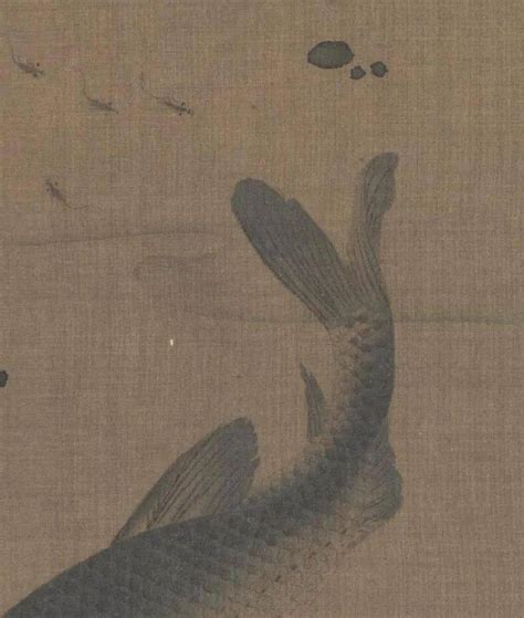 国画 宋画春溪水族图 无花果图 搜狐大视野 搜狐新闻