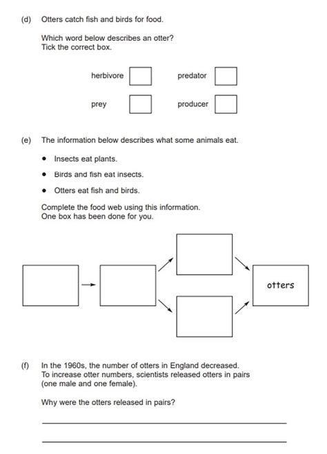 Can You Pass This Science Sats Exam Test Your Knowledge Of Mammals