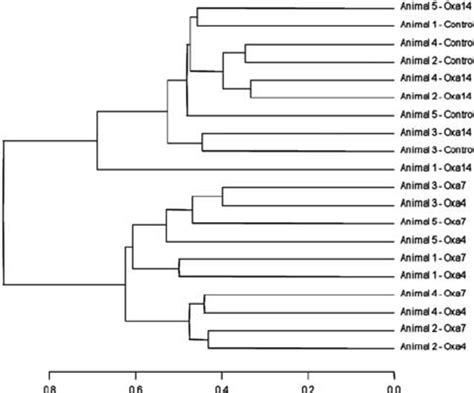 Cluster Analysis Of The Terminal Restriction Fragment Length