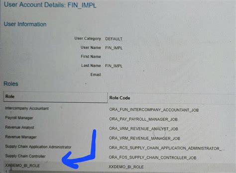 Soalicious ERP BI Roles And Configurations