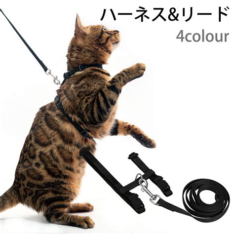 【楽天市場】猫 ハーネス リード セット 猫用 ネコ キャット ねこ かわいい お出かけ おしゃれ 散歩 外出 通院 災害 避難 ペット 猫