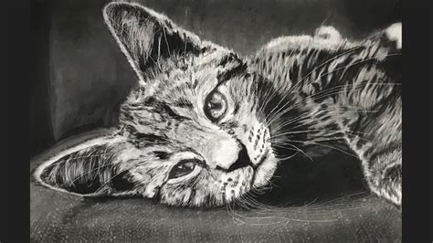 How To Draw A Realistic Cat With Pencil Graphite Pencil Art Youtube