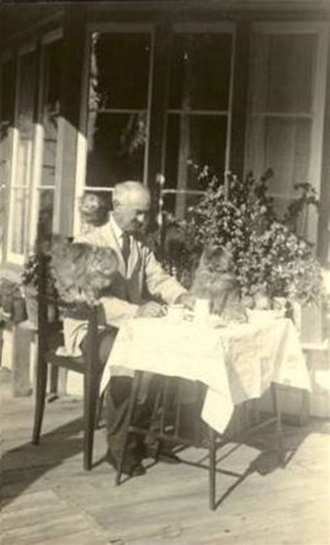 Frederick George Radcliffe Fgr Souths Museum Of Postcards