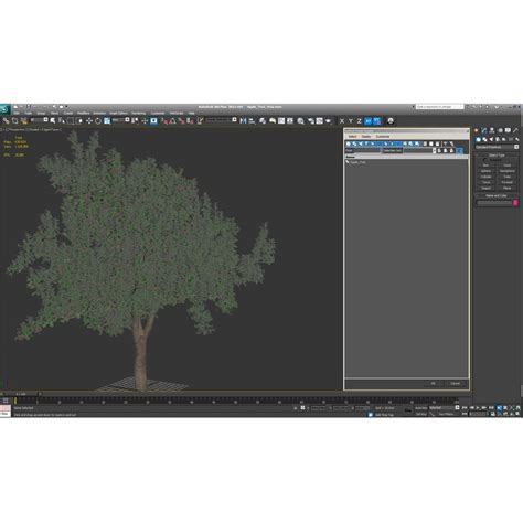 3d Apple Tree Model
