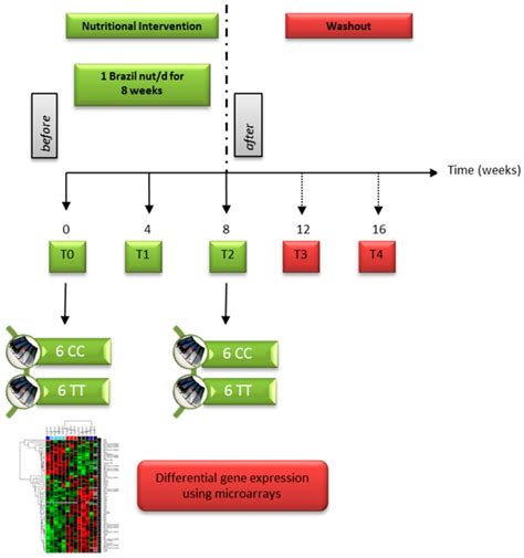 Influence Of Genetic Variations In Selenoprotein Genes On The Pattern Of Gene Expression After