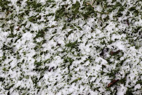 Nature Background Texture First Snow On The Green Grass Top View