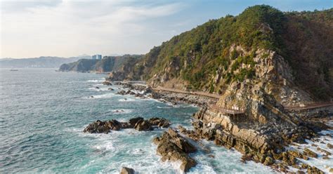 강릉 정동심곡 바다부채길 10월부터 전면 재개장