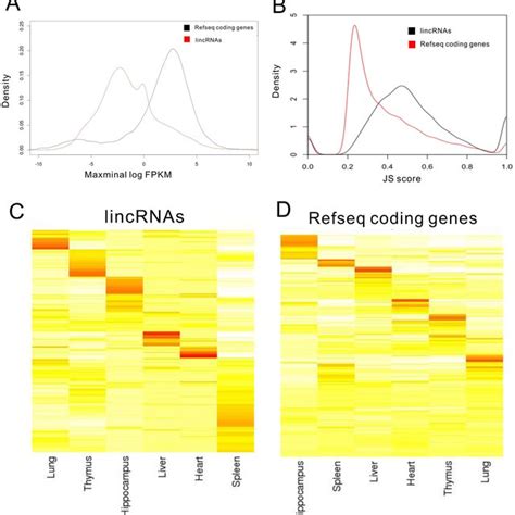 The Pie Chart Displays Transcript Distribution Among Protein Coding