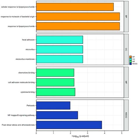 Go Enrichment And Kegg Analyses The Plot For The Top 3 Terms Of Go