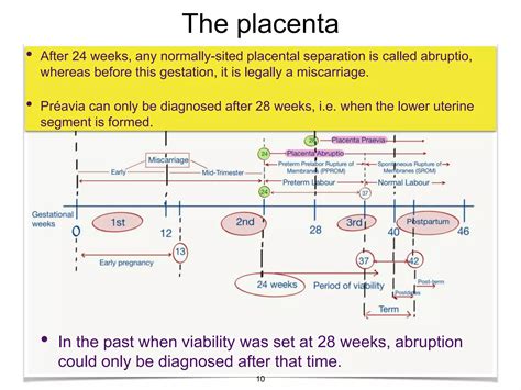 Gestational Chart Ppt