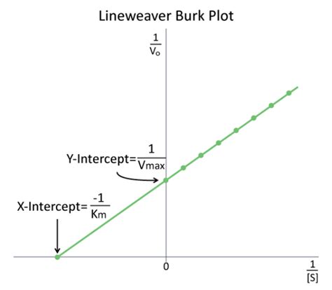4 10 lineweaver burk plots biology libretexts
