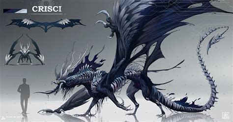 骨龙 小红书 花瓣网