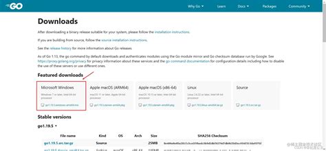 Windows下配置golang开发环境，并安装配置goland Ide ｜ 青训营笔记10分钟轻松在windows下利 掘金
