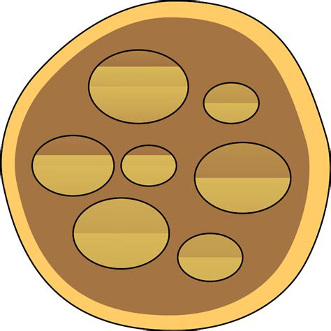 Ancylostoma Egg Figure Science Figures
