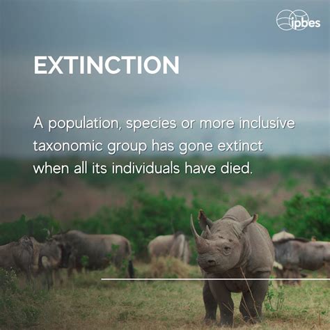 Extinction Ipbes