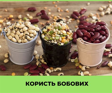 Здорове харчування для дітей Сьогодні Всесвітній день бобових Це гарний привід ще раз