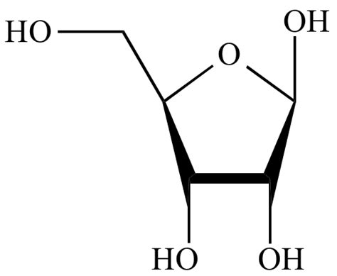 Pentose Alchetron The Free Social Encyclopedia