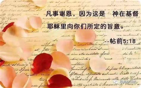 感恩节，让我们一起数算主恩（文字音频）