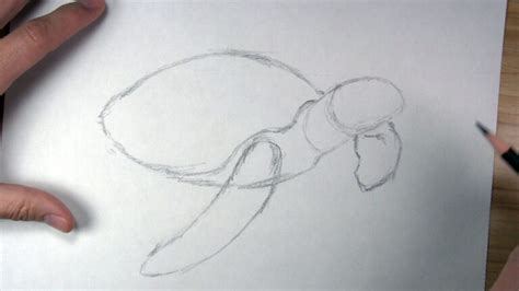 How To Draw A Sea Turtle Step By Step Let S Draw Today