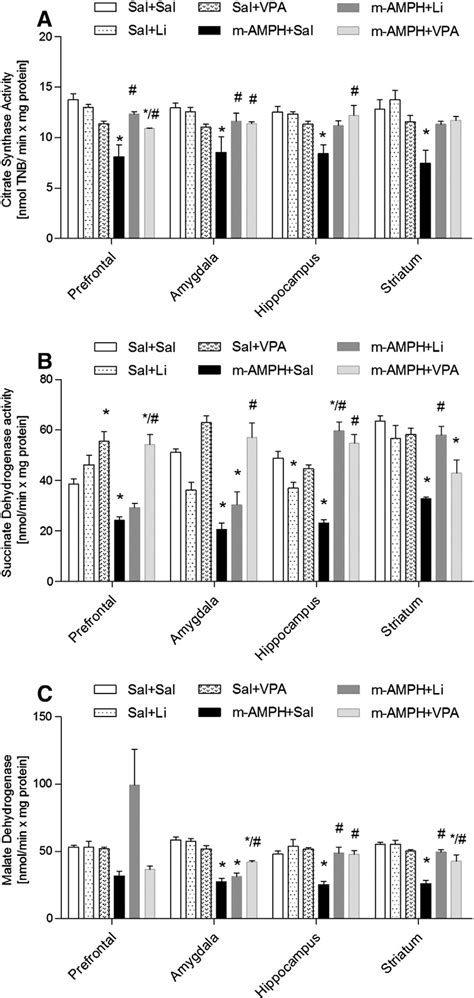 Activities Of Enzymes Of Krebs Cycle A Citrate Synthase Activity In Download Scientific