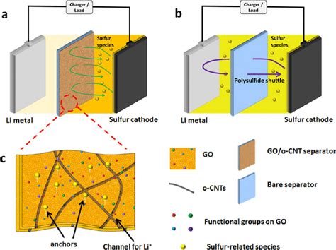 Schematics Of The Li S Battery Prototypes With A Go O Cnt Coated Download Scientific
