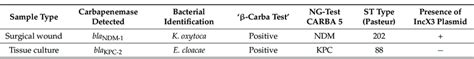 Summary Of Results Of Cpe Positive Bacteria Isolated During Routine Cpe