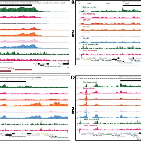 Coordination Between Chromatin Accessibility And Transcriptional Download Scientific Diagram