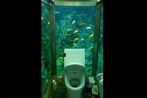 まるで水族館！？海の近くにあるお食事処のトイレを撮影した動画に反響「ソワソワしそう」