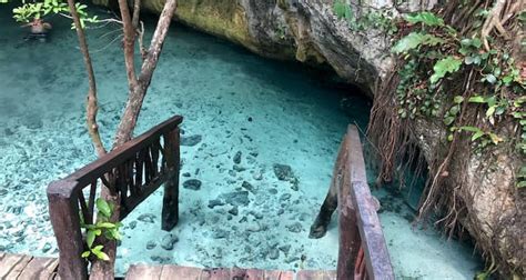Gran Cenote De Tulum Horarios Precios Que Saber