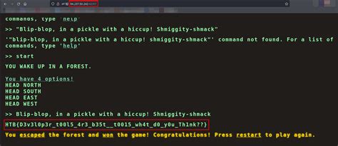 Hackthebox Challenge Flag Command Samarth Dad