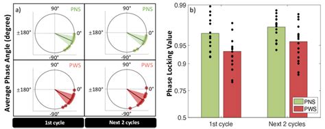 A Average Phase Angle And B Phase Locking Value For The